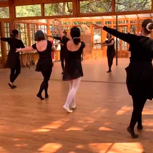 Curso Ballet Serenity – Herbarium Parque Vivero